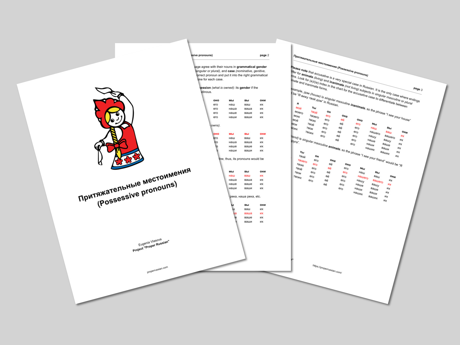 Russian Possessive Pronouns